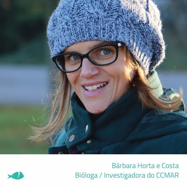 Maria Pena Ermida - Sciaena